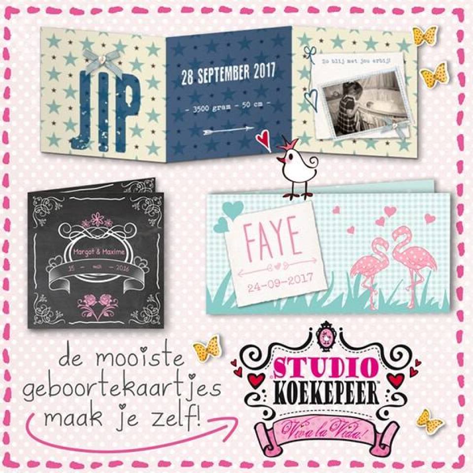 Studio Koekepeer in Poortugaal | MiniMe.nl