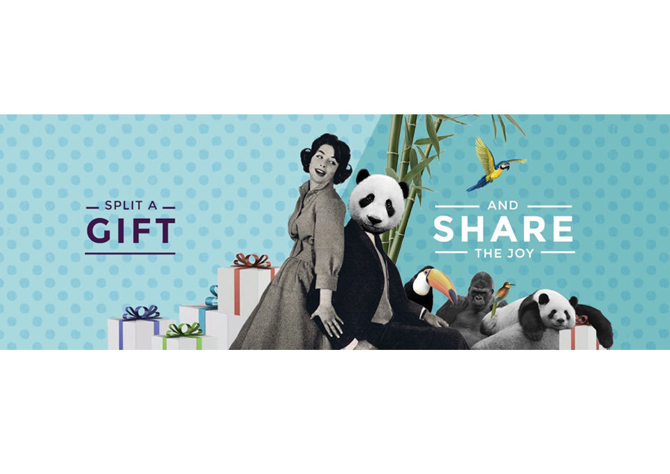 Split-A-Gift in Amsterdam | MiniMe.nl